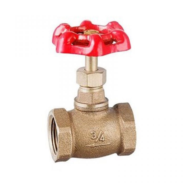TOZEN Bronze Globe Valve – Sonali Traders